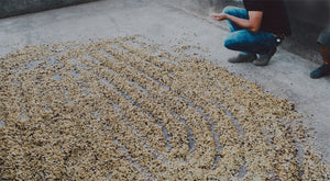 Birch Coffee | NYC specialty coffee | #birchlovesyou